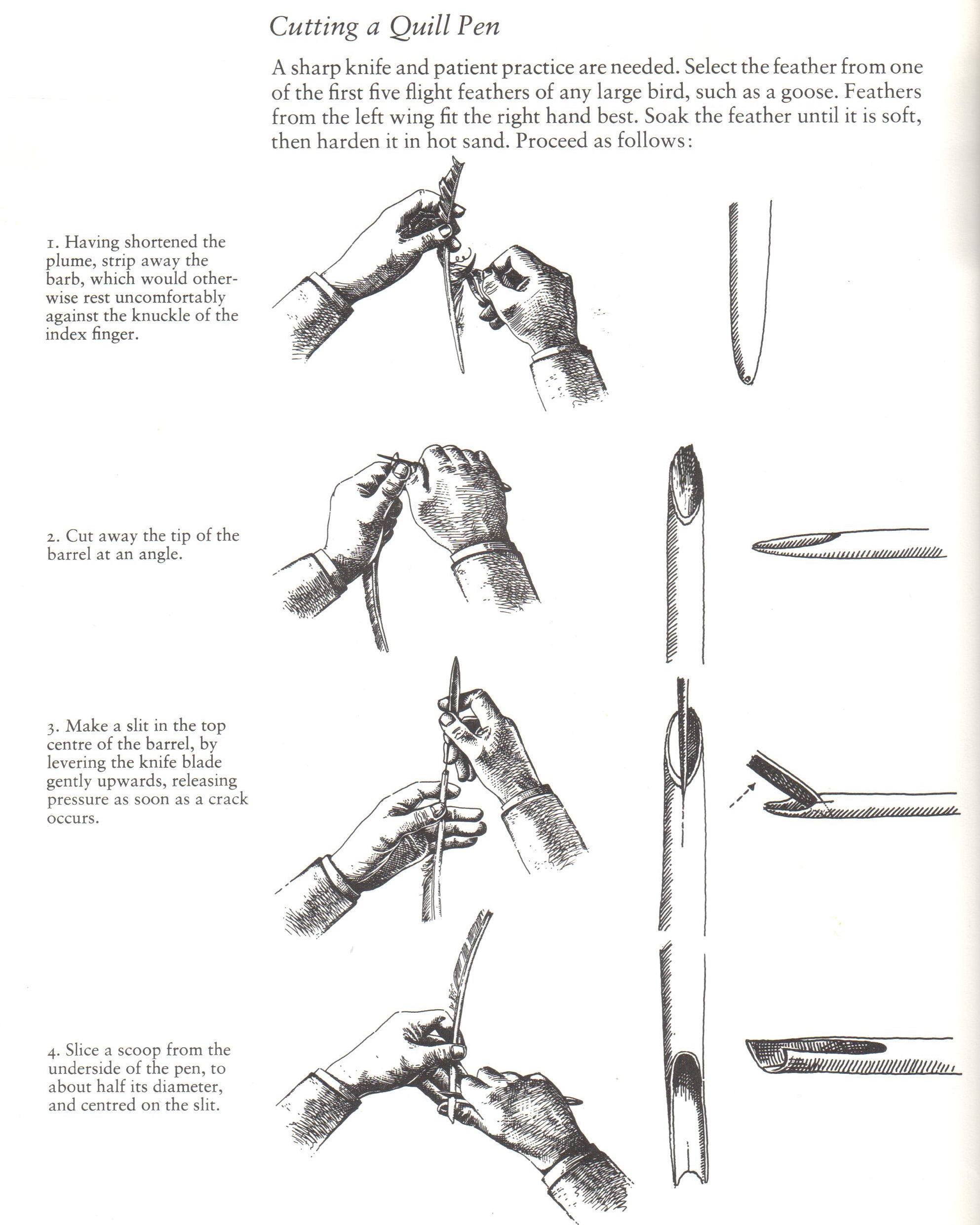The Gothic Scribe: His Hands and Tools – Athenaeum